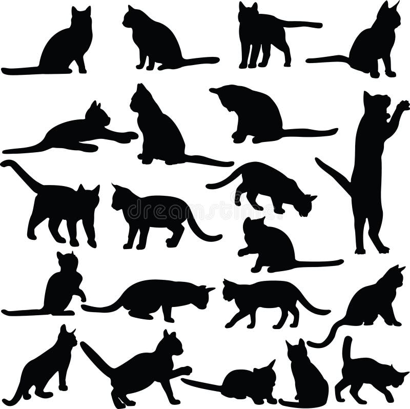 Jeu Pour Des Enfants : Trouvez L'ombre Correcte (chat Blanc, Chat Gris ...