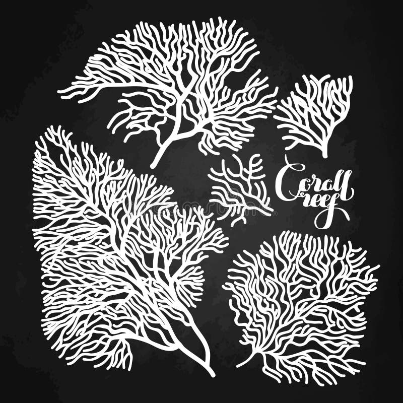 Collection De Corail Graphique Illustration de Vecteur - Illustration ...