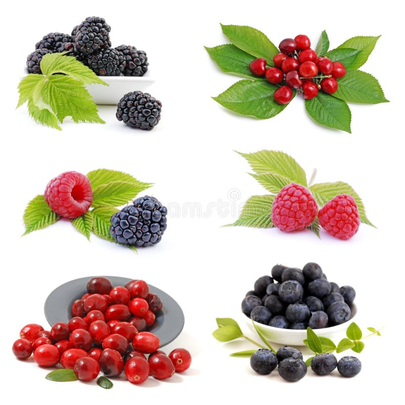 Baie et fruit image stock. Image du cédrat, cerise, régénération - 5753863