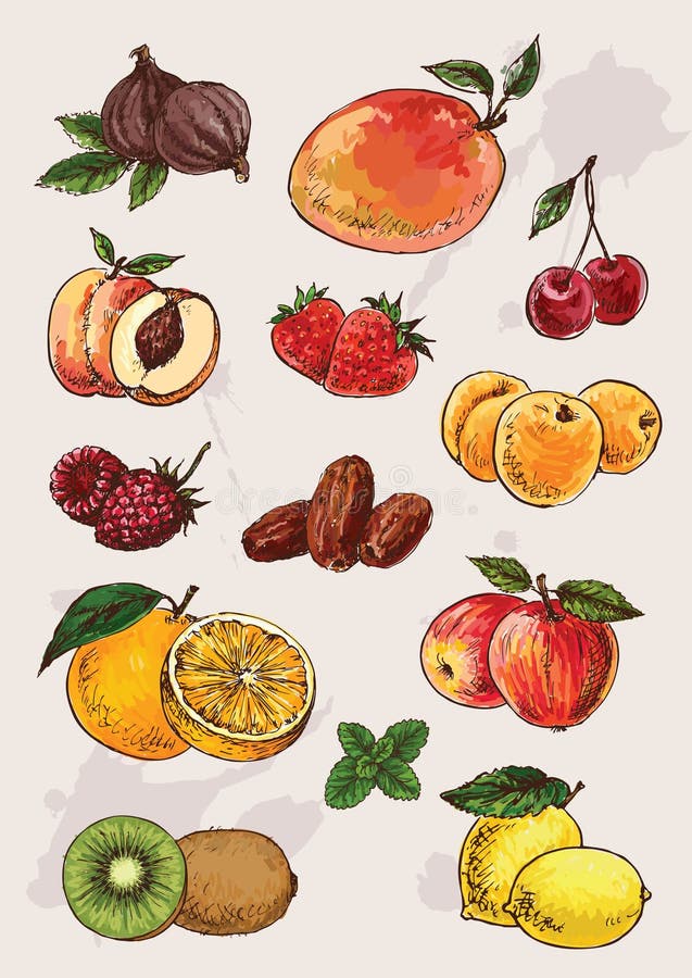 Collection De Fruits De Dessin De Main Illustration de Vecteur ...