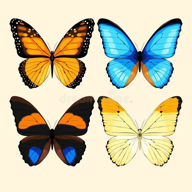 Collection de papillons illustration de vecteur. Illustration du ...