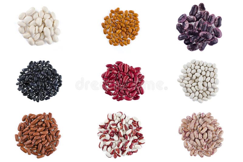 A Collection of Different Bean Stock Image - Image of grain, background ...