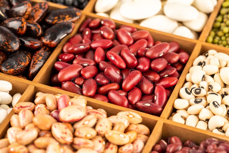 Collection of beans stock photo. Image of nourishment - 168775444