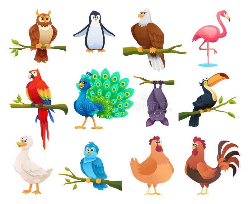 Collection of Different Birds in Cartoon Style Stock Vector ...