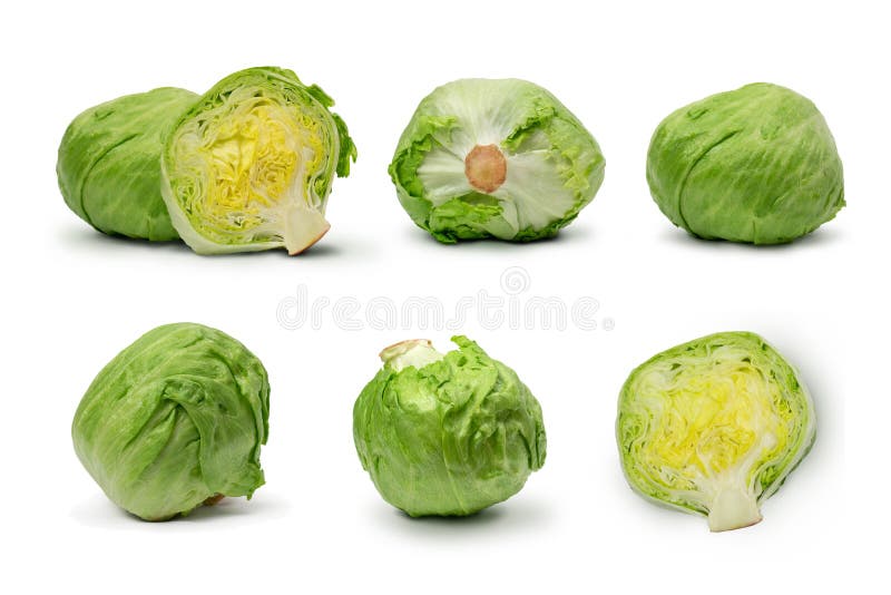 Fresh Iseberg Stock Photos - Free & Royalty-Free Stock Photos from ...