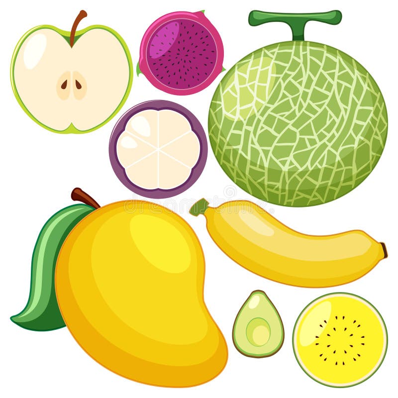 A Collection of Different Fruits Stock Vector - Illustration of avocado ...