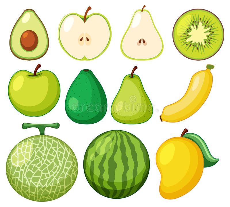 A Collection of Different Fruits Stock Vector - Illustration of melon ...