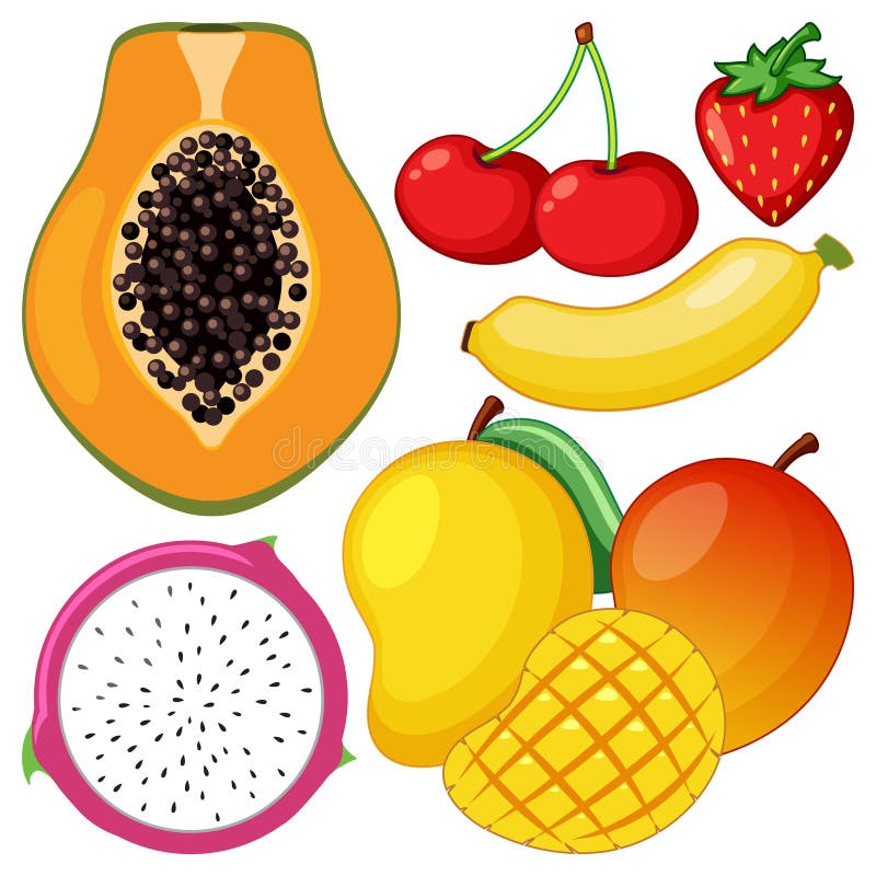 A Collection of Different Fruits Stock Vector - Illustration of sweet ...