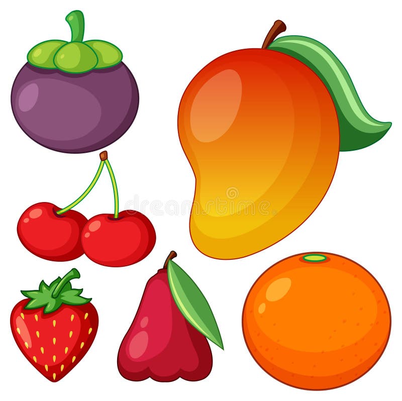 A Collection of Different Fruits Stock Vector - Illustration of design ...