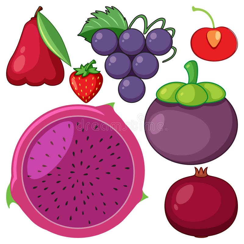 A Collection of Different Fruits Stock Vector - Illustration of cartoon ...