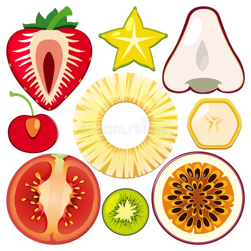 A Collection of Different Fruits Stock Vector - Illustration of group ...