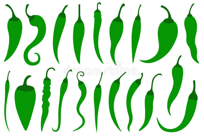 Collection of Different Green Hot Chili Peppers Stock Vector ...