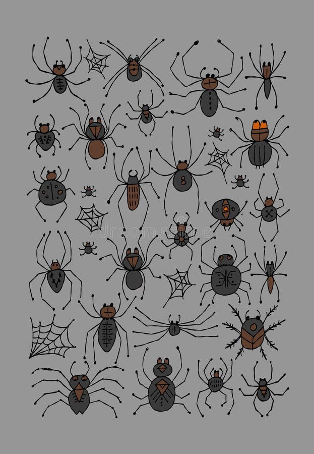 Collection of Different Spiders. Vertical Frame. Hand Drawn Style Stock ...