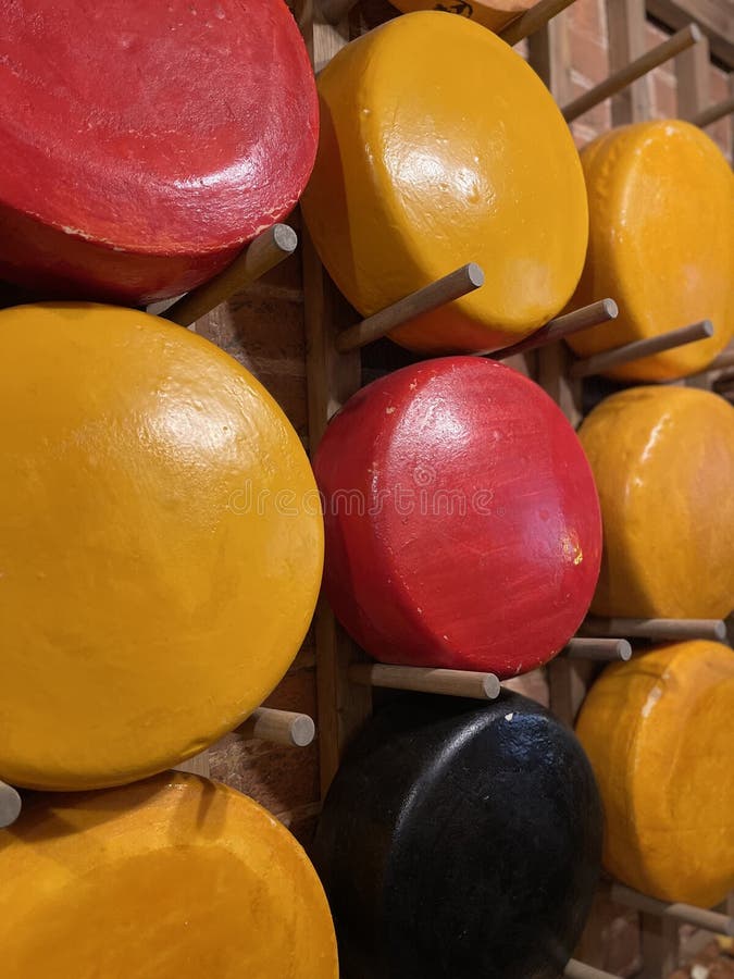 Fresh Cheese Heads on Warehouse. a Collection of Different Types of ...