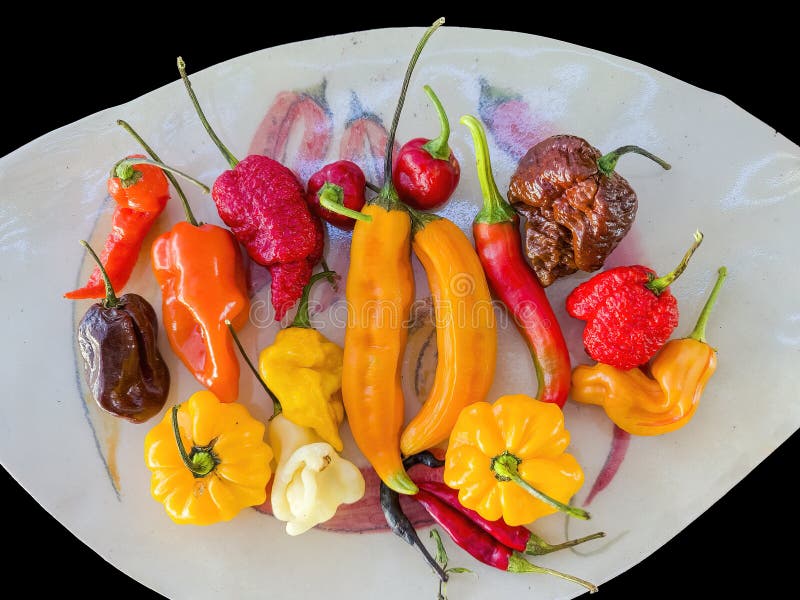 Collection of Different Types of Small Hot Peppers Stock Image - Image ...