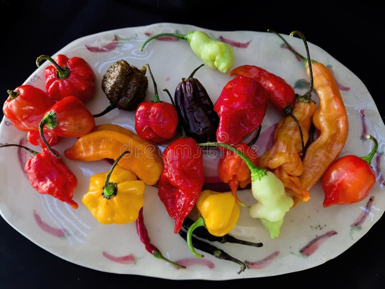 Collection of Different Types of Small Hot Peppers Stock Photo - Image ...