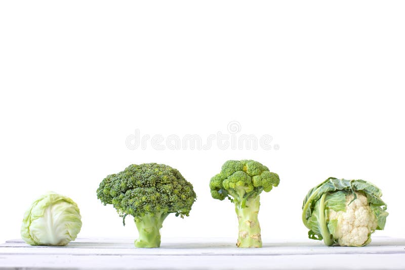 Collection of Different Varieties of Cabbage.. Stock Image - Image of ...