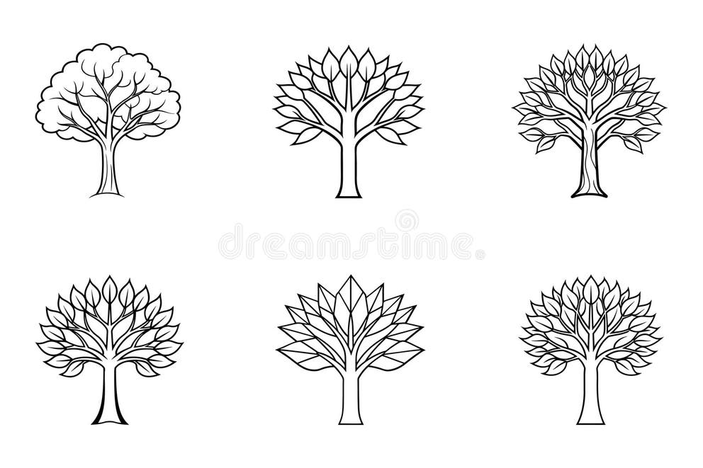 Collection of Disjoint Trees: Acyclic Graph Structures Explained Stock ...