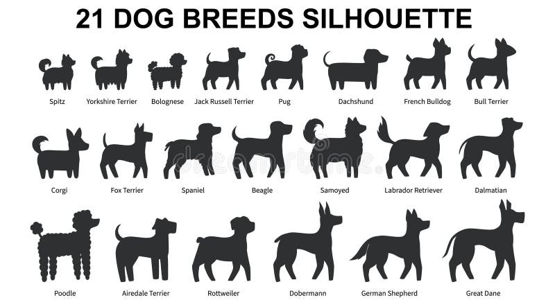 Collection of 21 Dog Breeds Silhouette. Side View. Vector Illustration ...