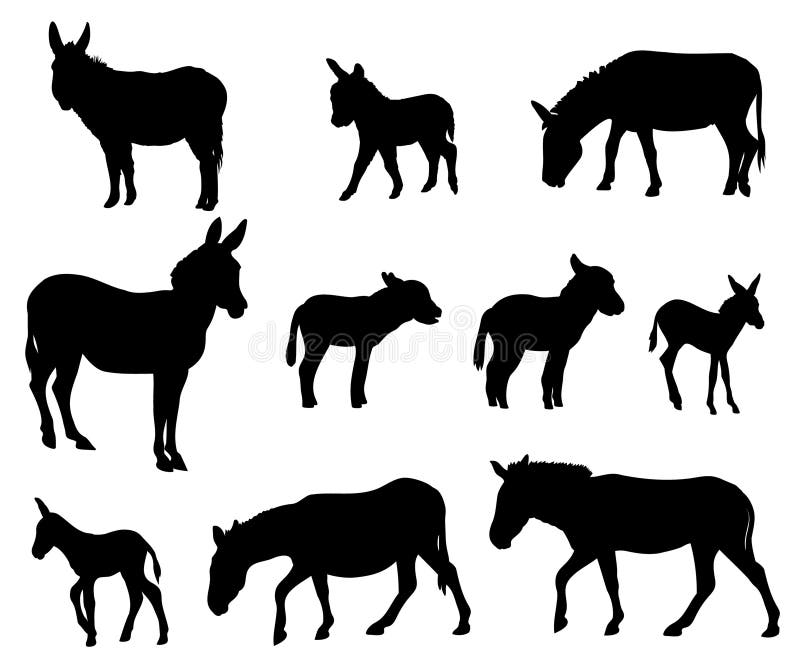 Collection of Donkeys Silhouettes, Domestic Animals . Stock Vector ...