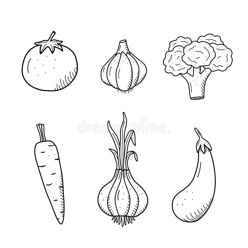 Collection of Drawing Vegetables in Doodle Style. a Set of Vector ...