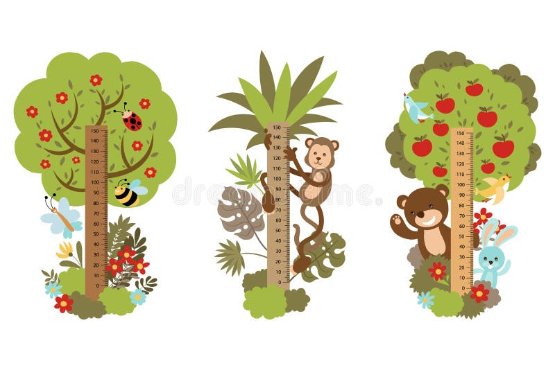 Collection of Drawn Height Meter with Trees Vector Illustration. Stock ...