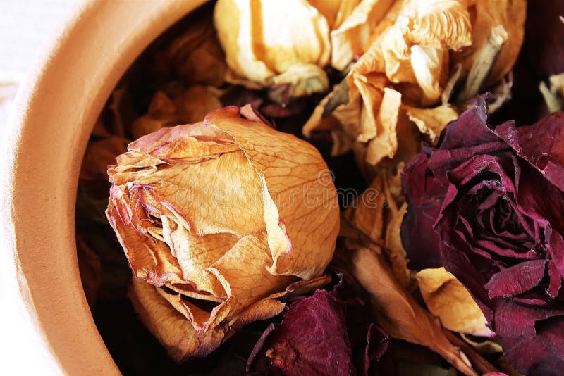 Collection of Dried Roses Gift Husband Stock Photo - Image of gift ...