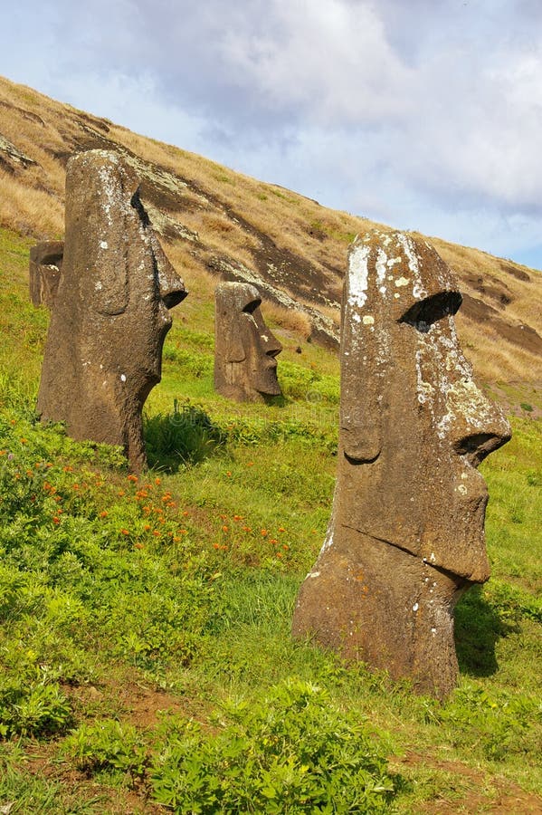 Collection of Easter Island Statues Stock Photo - Image of pascua, long ...
