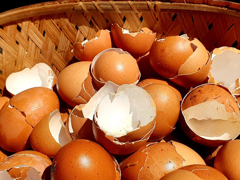 A Collection of Egg Shells in a Bamboo Woven Basket Stock Photo - Image ...