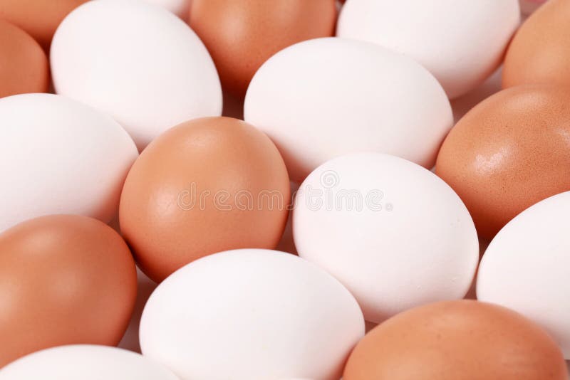 Collection of eggs stock photo. Image of eating, focus - 27944160