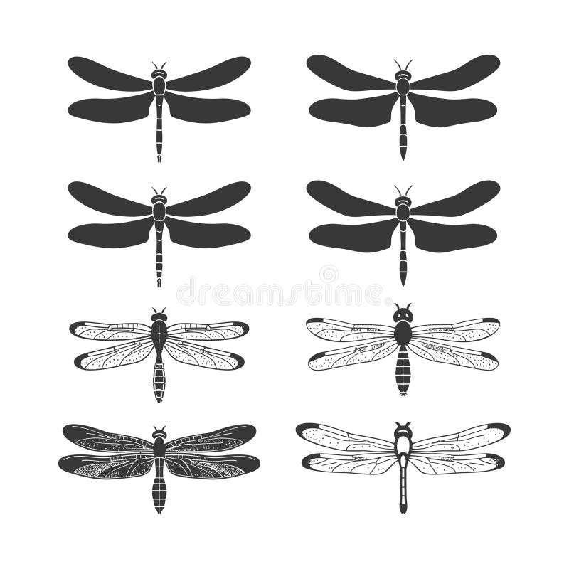 Collection of Eight Detailed Dragonfly Illustrations, Vector Graphics ...