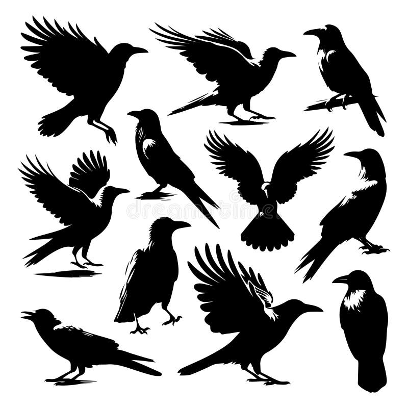 Set of Crow Silhouette Vector on a White Background Stock Illustration ...