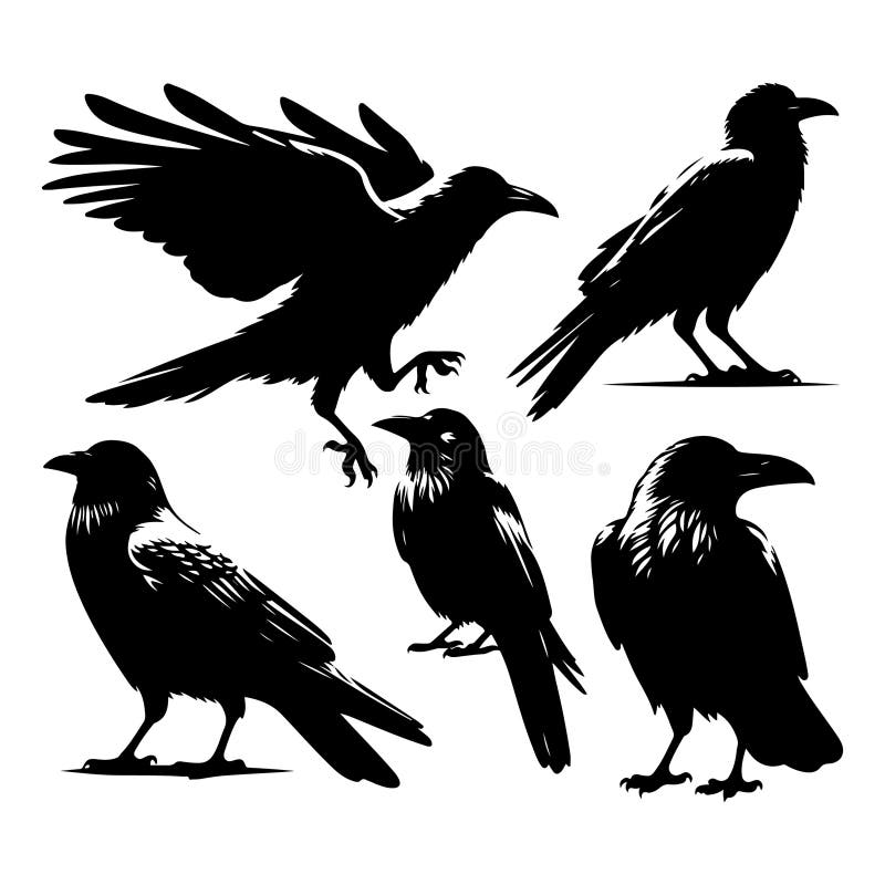 Iconic Crow Stock Illustrations – 101 Iconic Crow Stock Illustrations ...