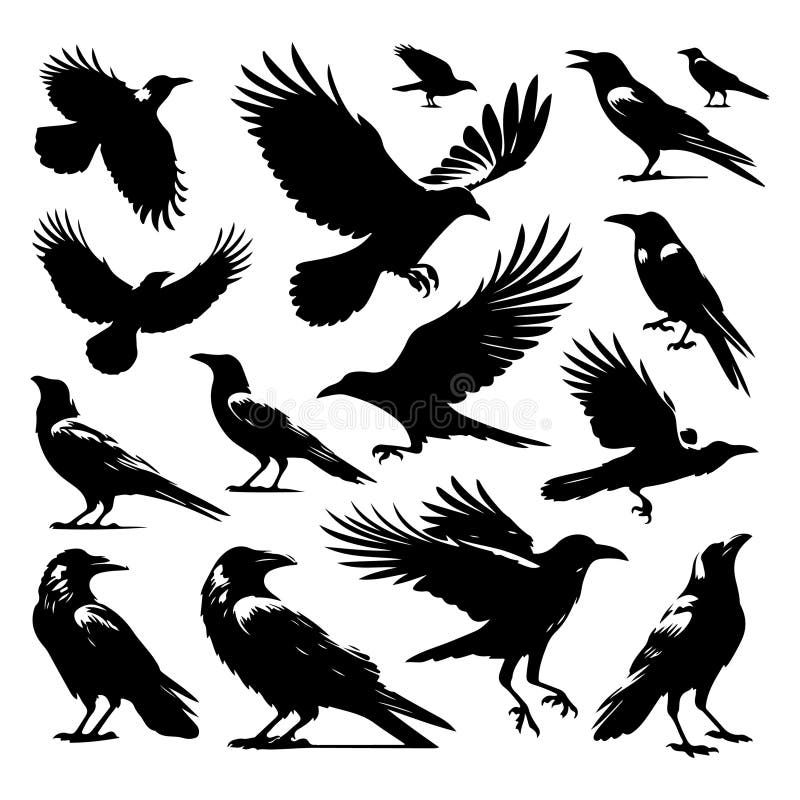 Set of Crow Silhouette Vector on a White Background Stock Illustration ...