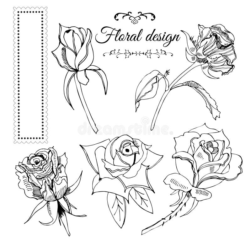 12+ Monochrome frame flowers Free Stock Photos - StockFreeImages 12+ Monochrome frame flowers Free Stock Photos - StockFreeImages