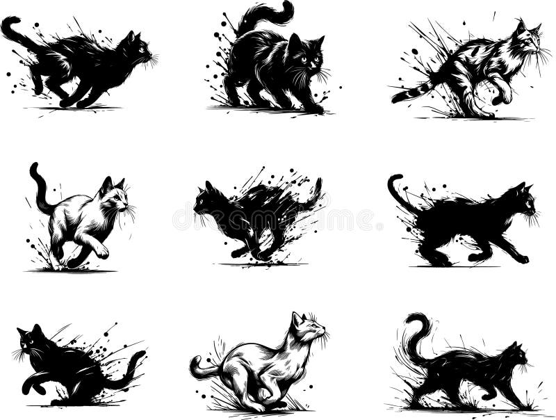 Collection of Energetic Cats in Motion with Abstract Splashes in Vector ...