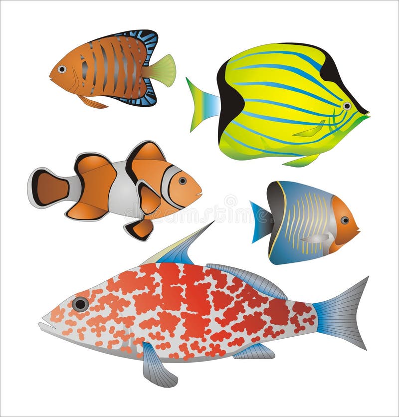 Diagramme De Différentes Parties De Poissons Illustration de Vecteur ...