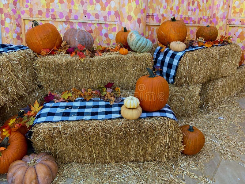 Fall on Display stock image. Image of autumn, cloth - 241960133