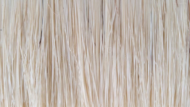 A Collection of Fiber from the Brush for Neatly Arranged Paint Stock ...