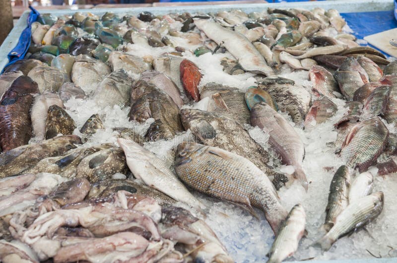 Collection of Fish on Display in Traditional Open Air Market Stock ...