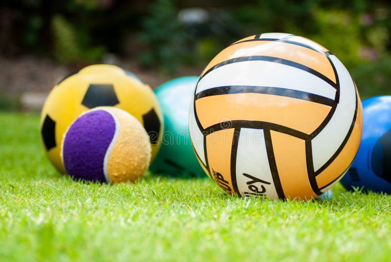 Collection of Five Balls in Grass Stock Image - Image of purple, field ...
