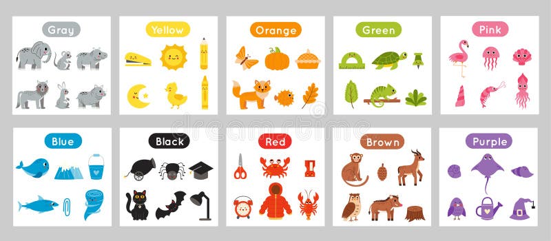 Colors Learning Cards for Kids. Colorful Set of Flashcards Stock Vector ...