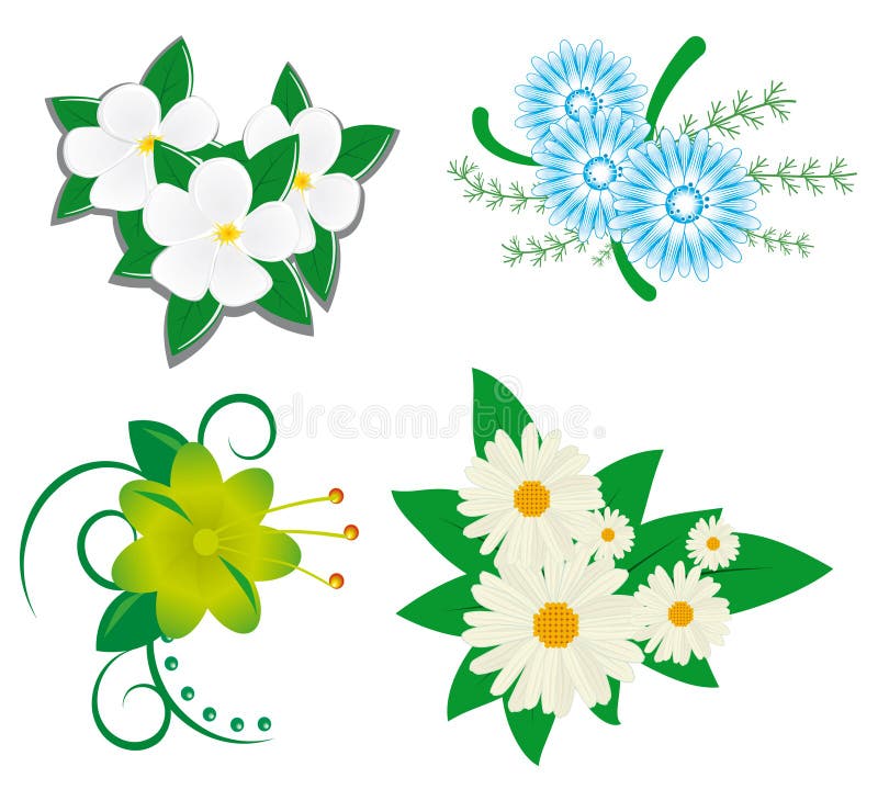 A collection of flowers stock vector. Illustration of decoration - 19076986
