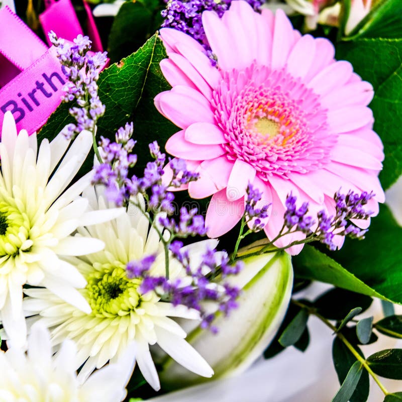 Collection of Flowers in Bloom Stock Photo - Image of format, decor ...