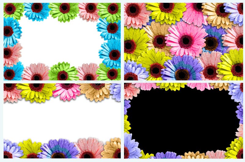 Collection Frame Made of Colorful Flowers Isolated. Stock Image - Image ...