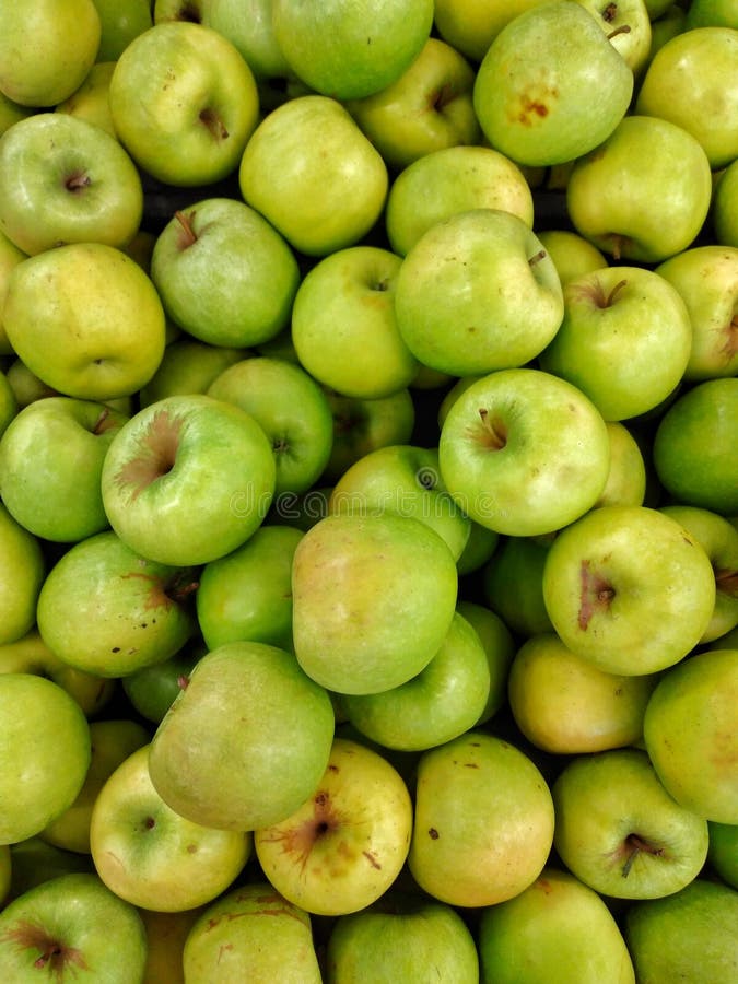 A Collection of Fresh Apples Stock Photo - Image of orange, natural ...