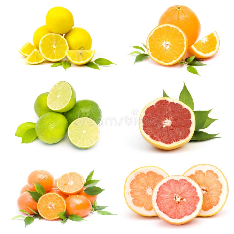 Citrus fruit collection stock image. Image of vitamin - 11572287