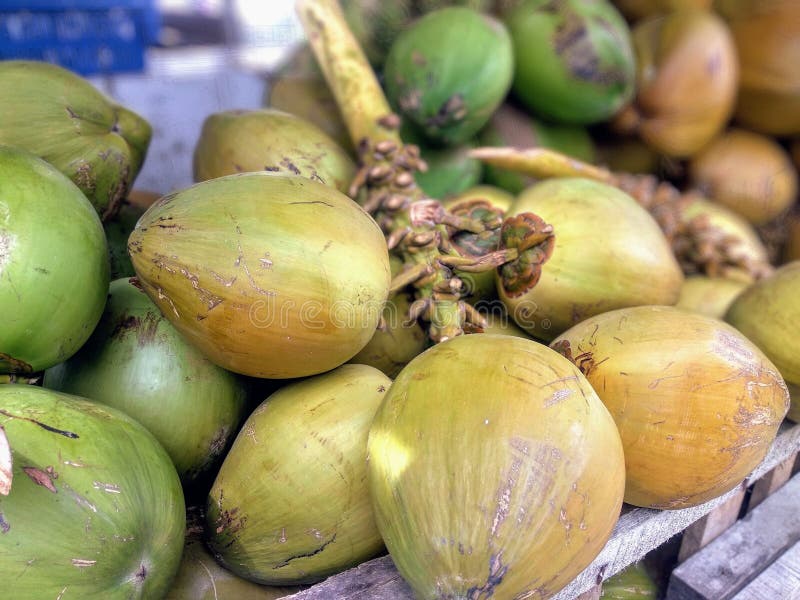 A Collection of Fresh Coconuts on the Street Cafe Stock Photo - Image ...