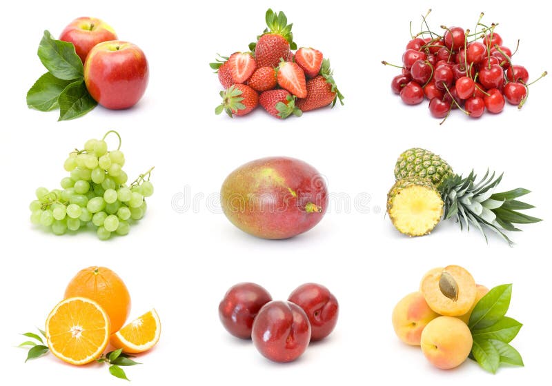 Fruit Sampler stock photo. Image of dish, rock, path, seed - 6432122