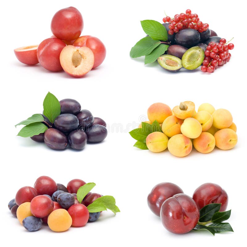 Fruit Sampler stock image. Image of isolated, produce - 5986453